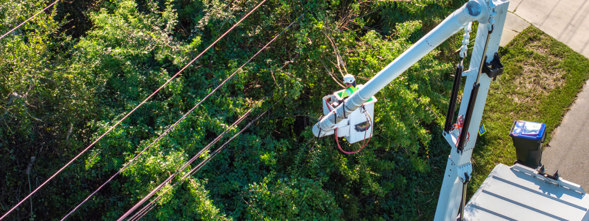 Downed Power Lines - Renfrew Hydro Inc.